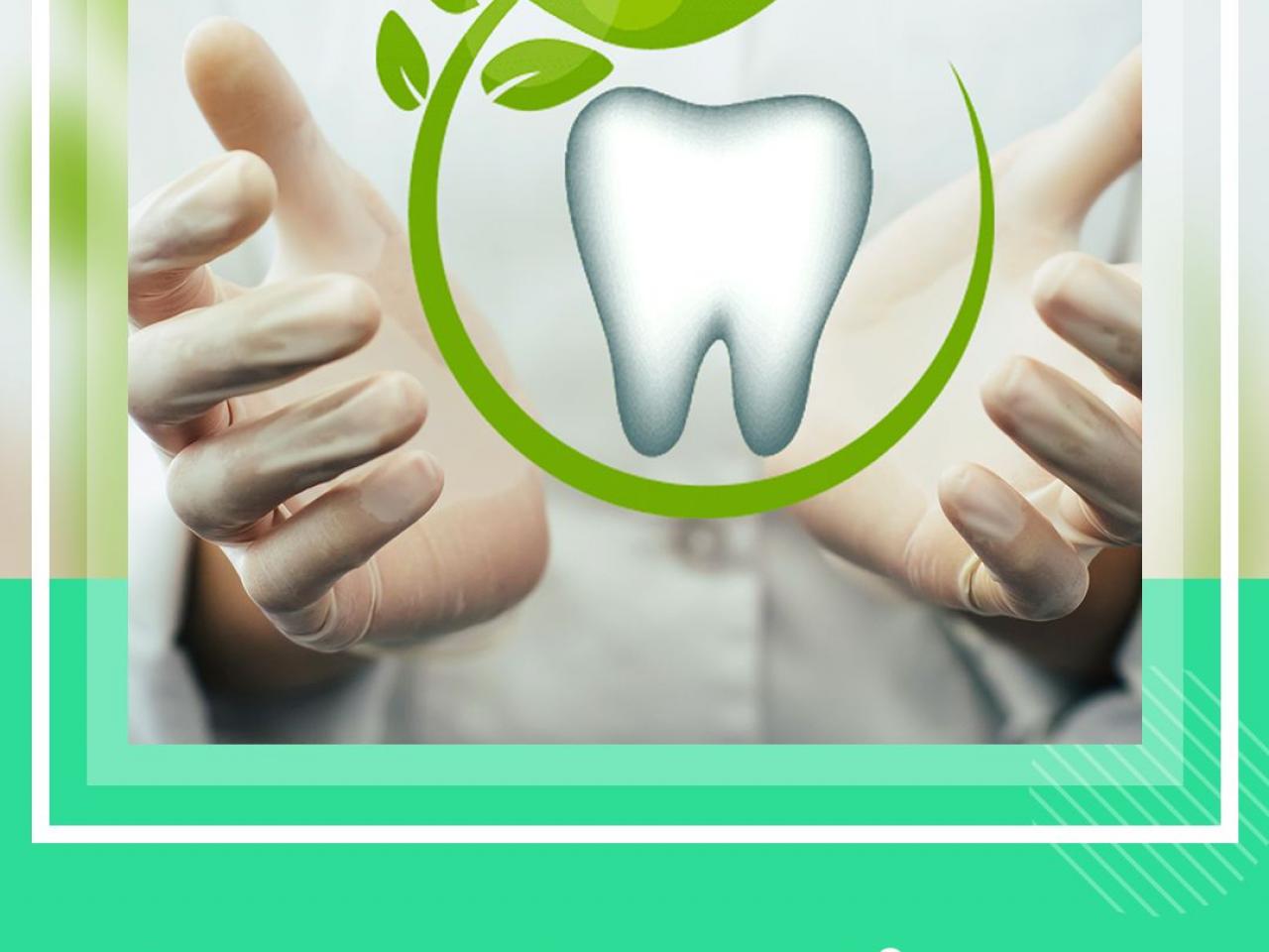 Green Practices : Eco-Friendly Software